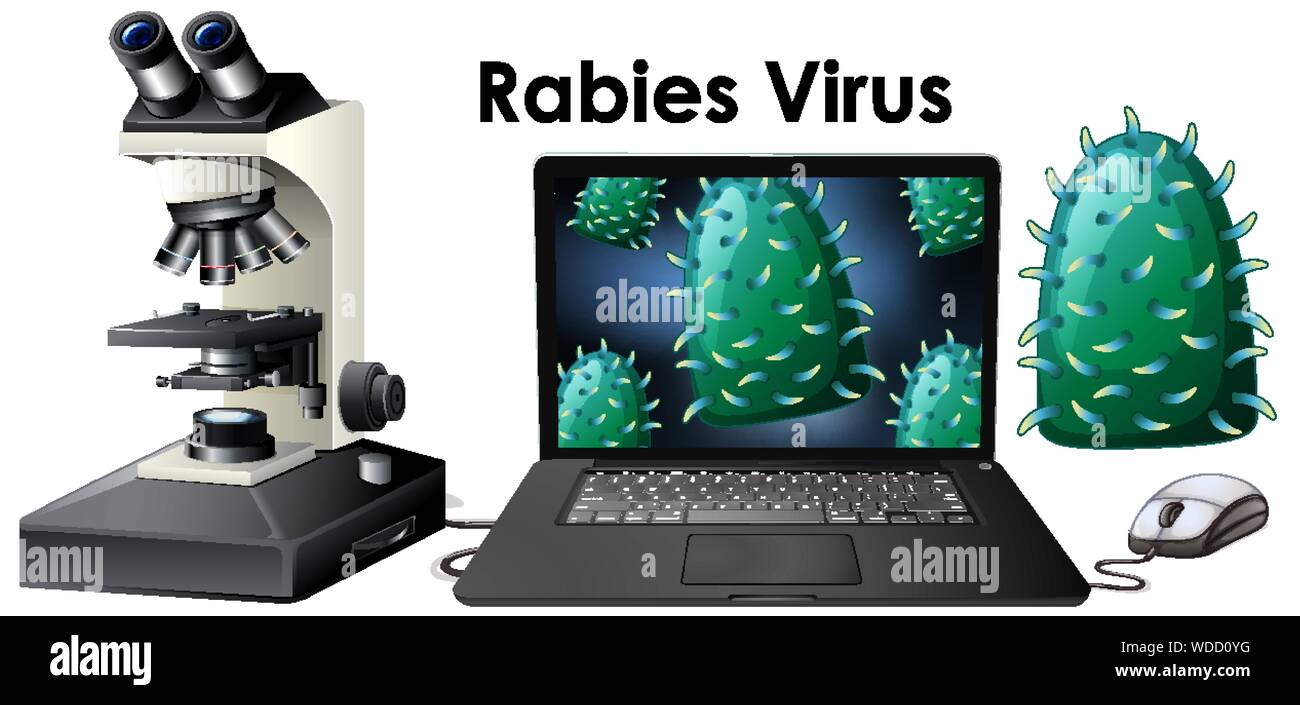Rabies virus microscope hi-res stock photography and images - Alamy