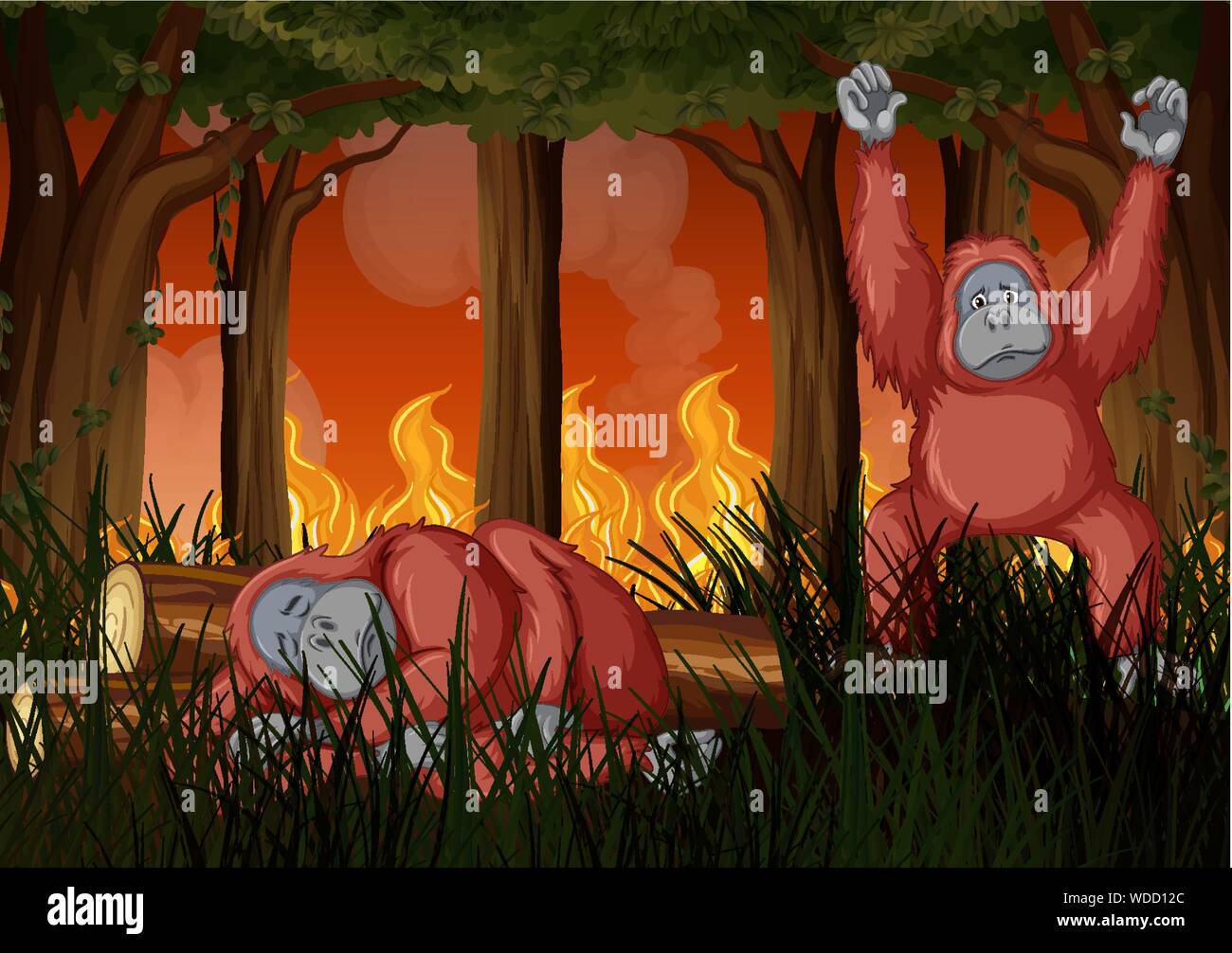 Scene with wildfire and two chimpanzees illustration Stock Vector Image ...