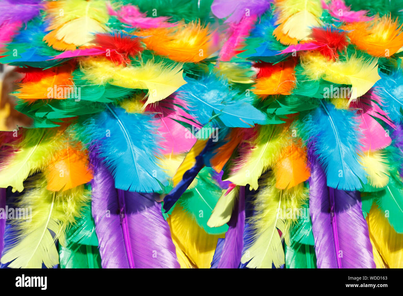 Colorful bird feathers abstract, background picture Stock Photo - Alamy