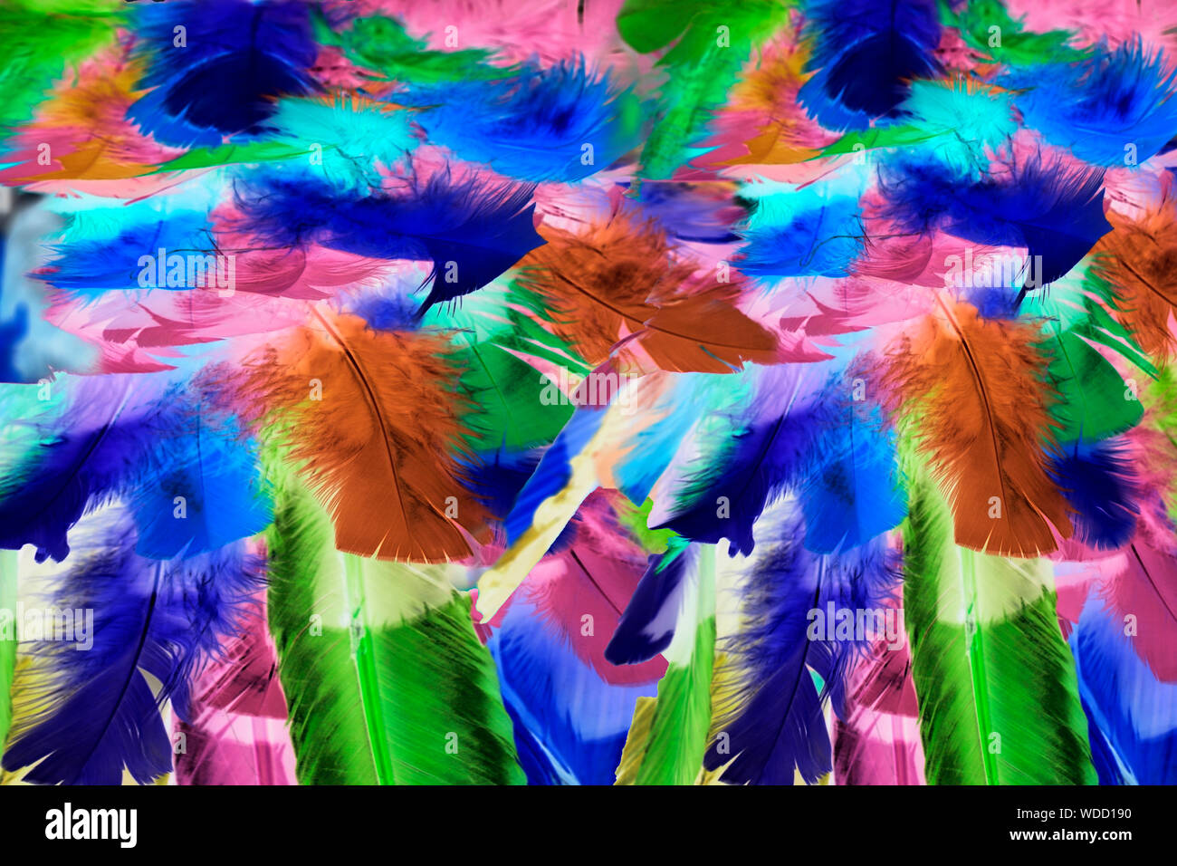 Colorful bird feathers abstract, background picture Stock Photo - Alamy