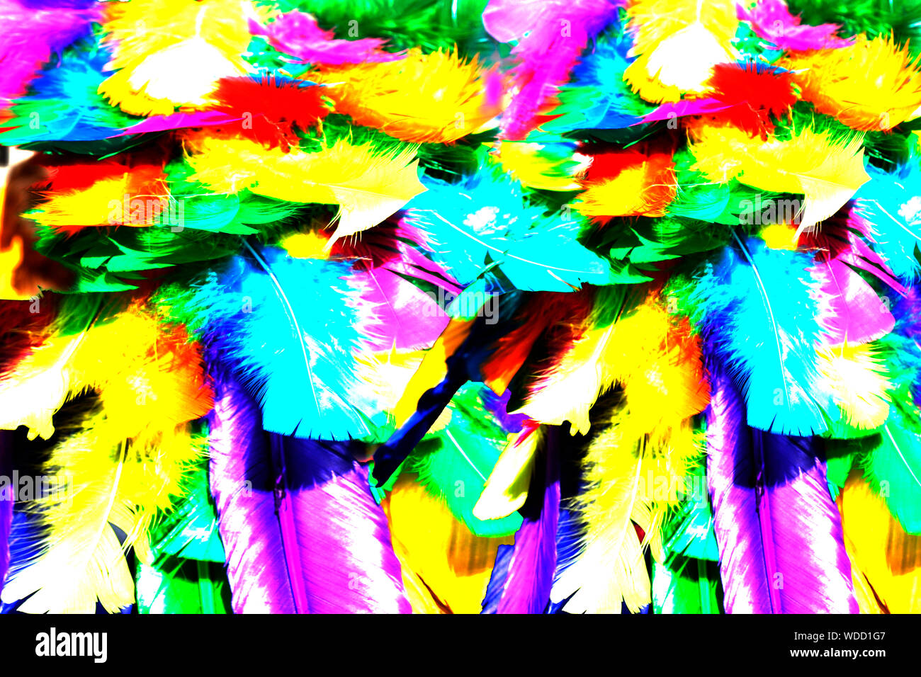 Colorful bird feathers abstract, background picture Stock Photo - Alamy
