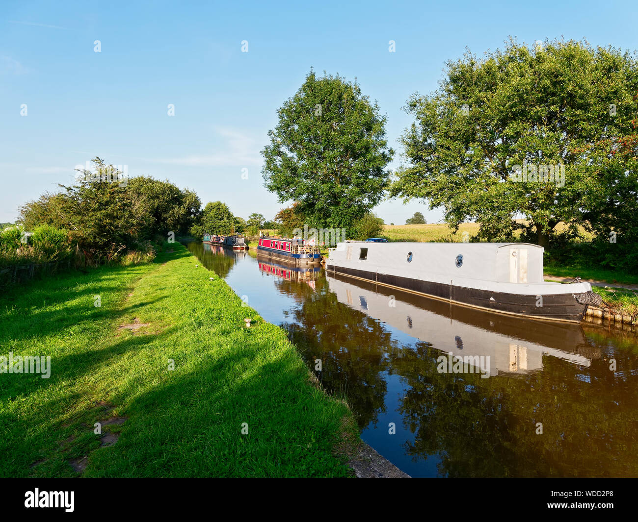Moored barges reflected in the calm water of the Shropshire Union Canal ...