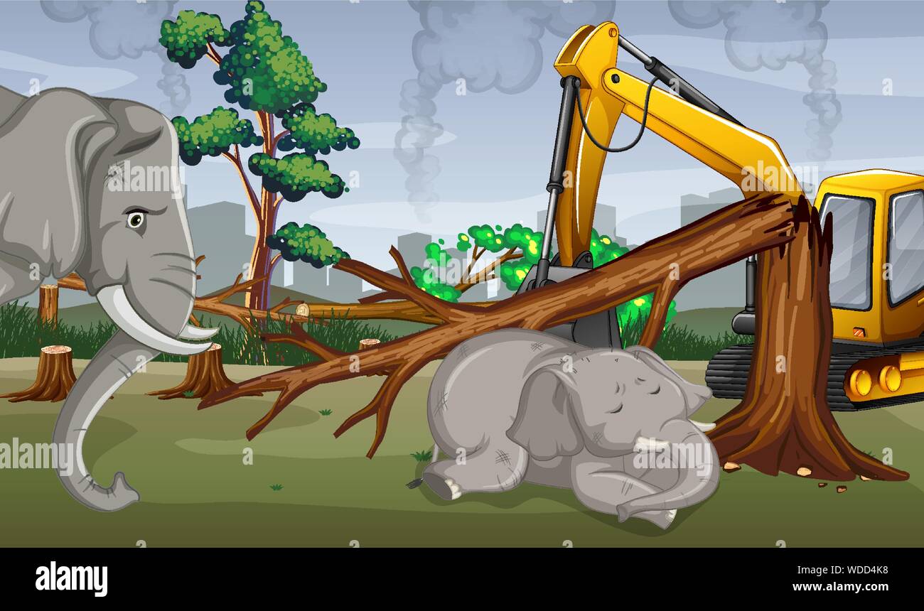 Deforestation scene with elephant and tractor illustration Stock Vector ...