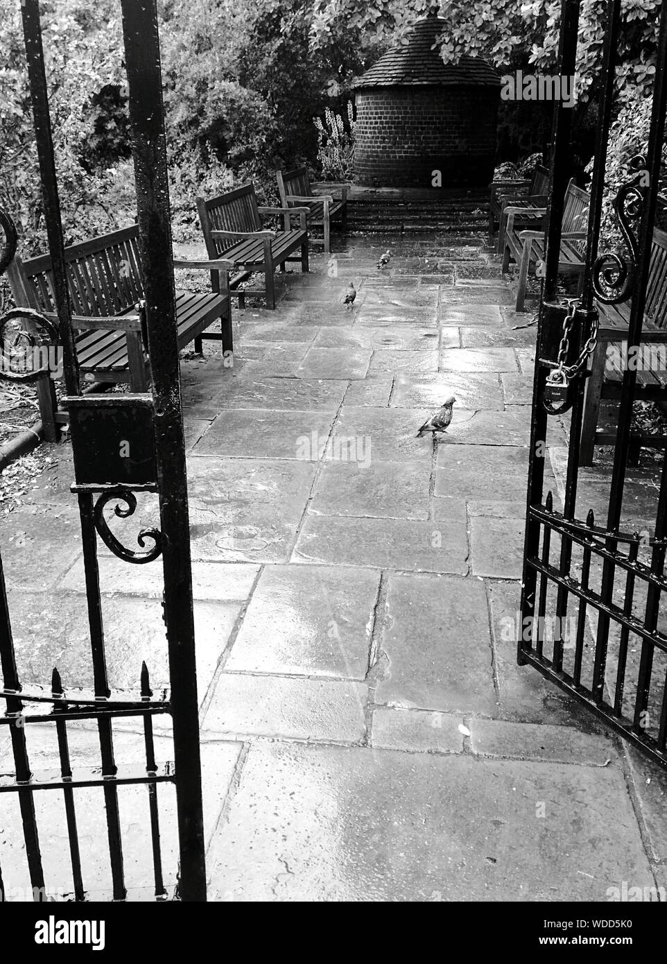 Pathway through gate hi-res stock photography and images - Alamy