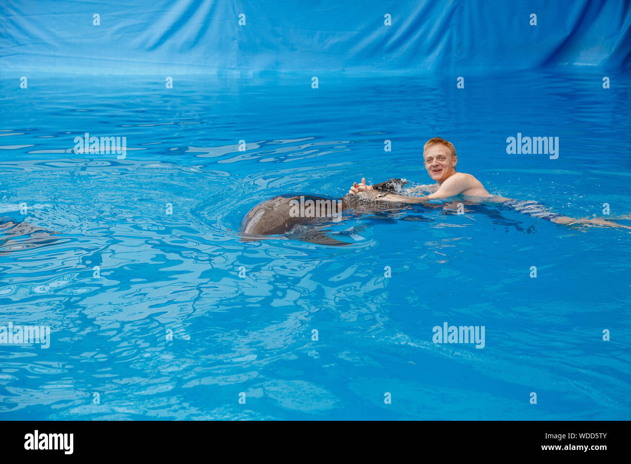 happy man swim with dolphin in dolphinarium Stock Photo - Alamy