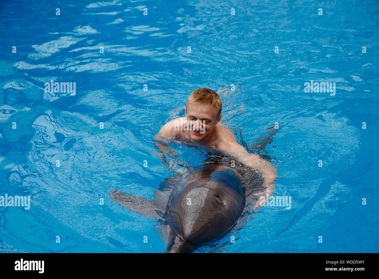 Person swim dolphin ocean hi-res stock photography and images - Alamy
