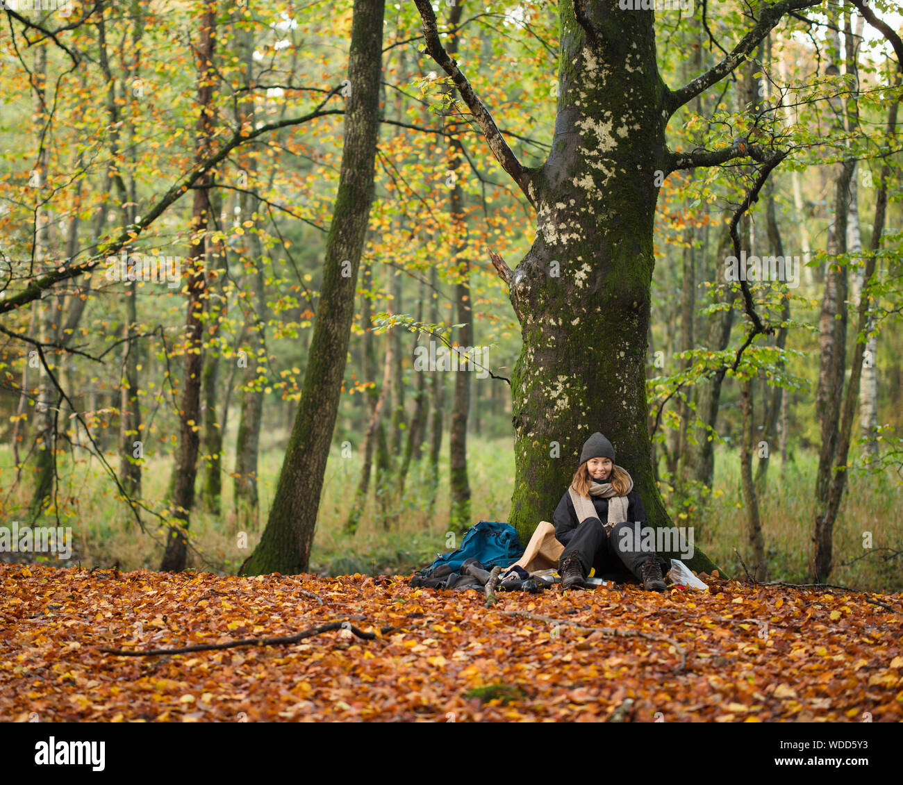 Young woman sitting forest hi-res stock photography and images - Alamy