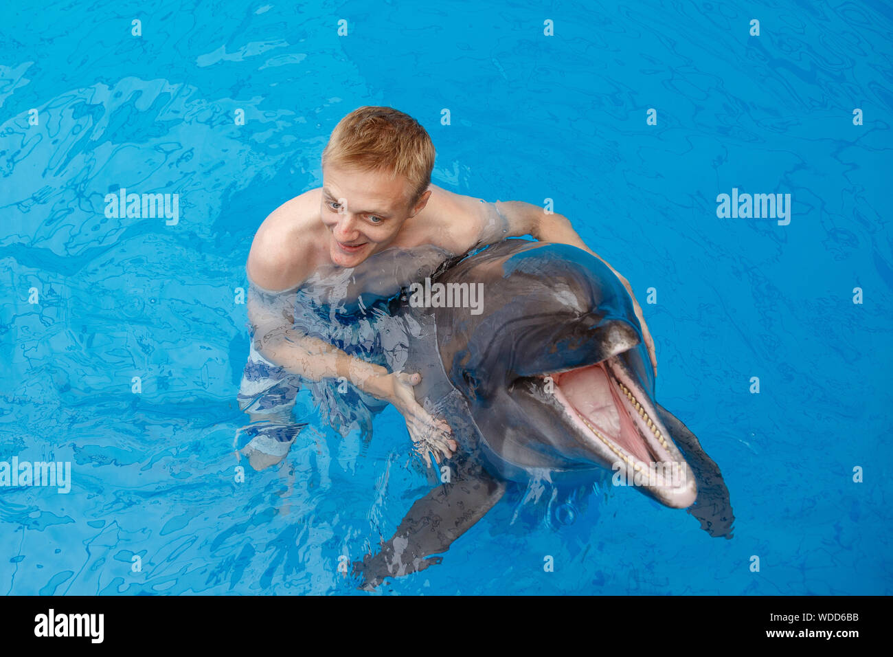 happy man swim with dolphin in dolphinarium Stock Photo - Alamy