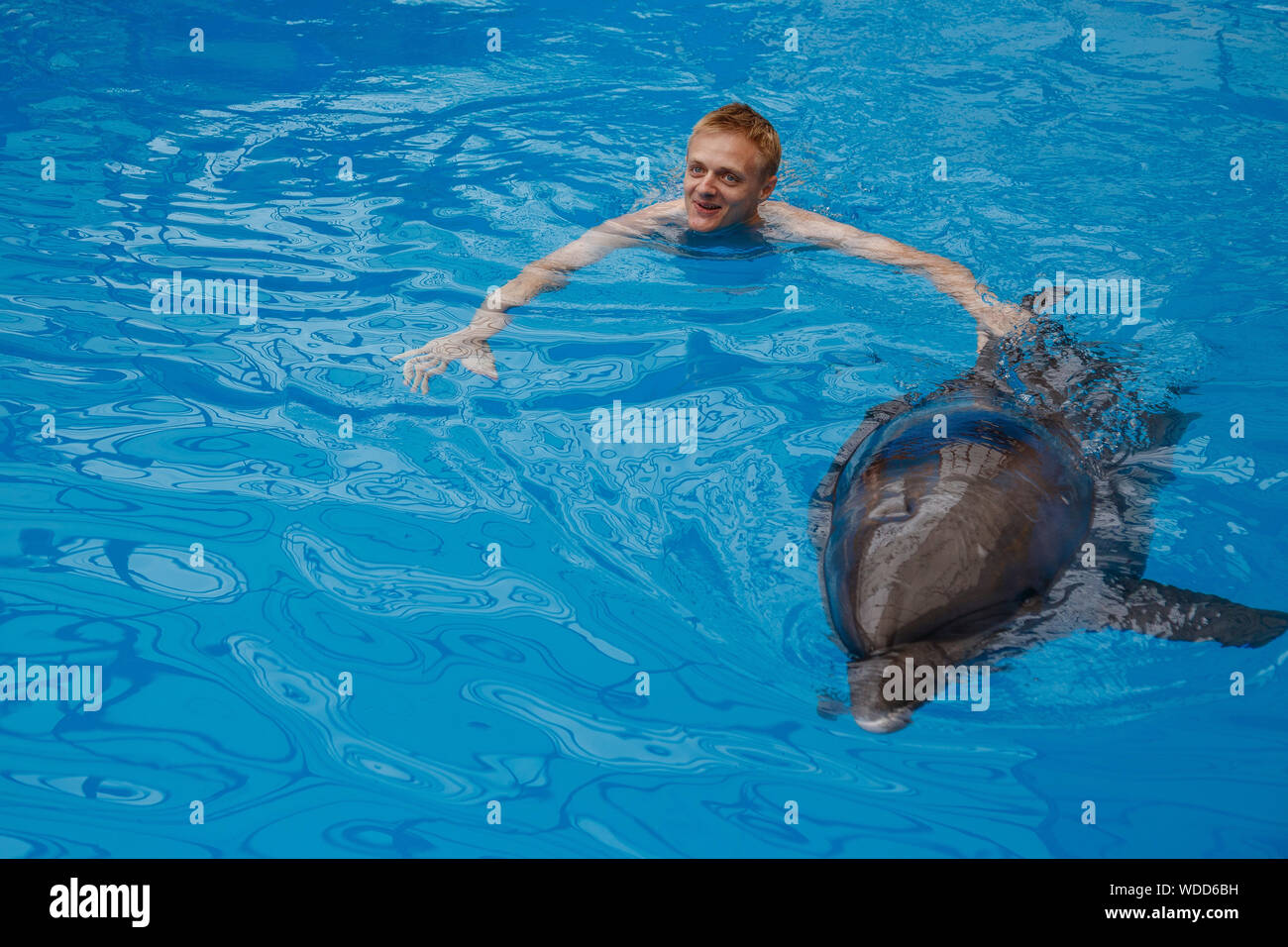 happy man swim with dolphin in dolphinarium Stock Photo - Alamy