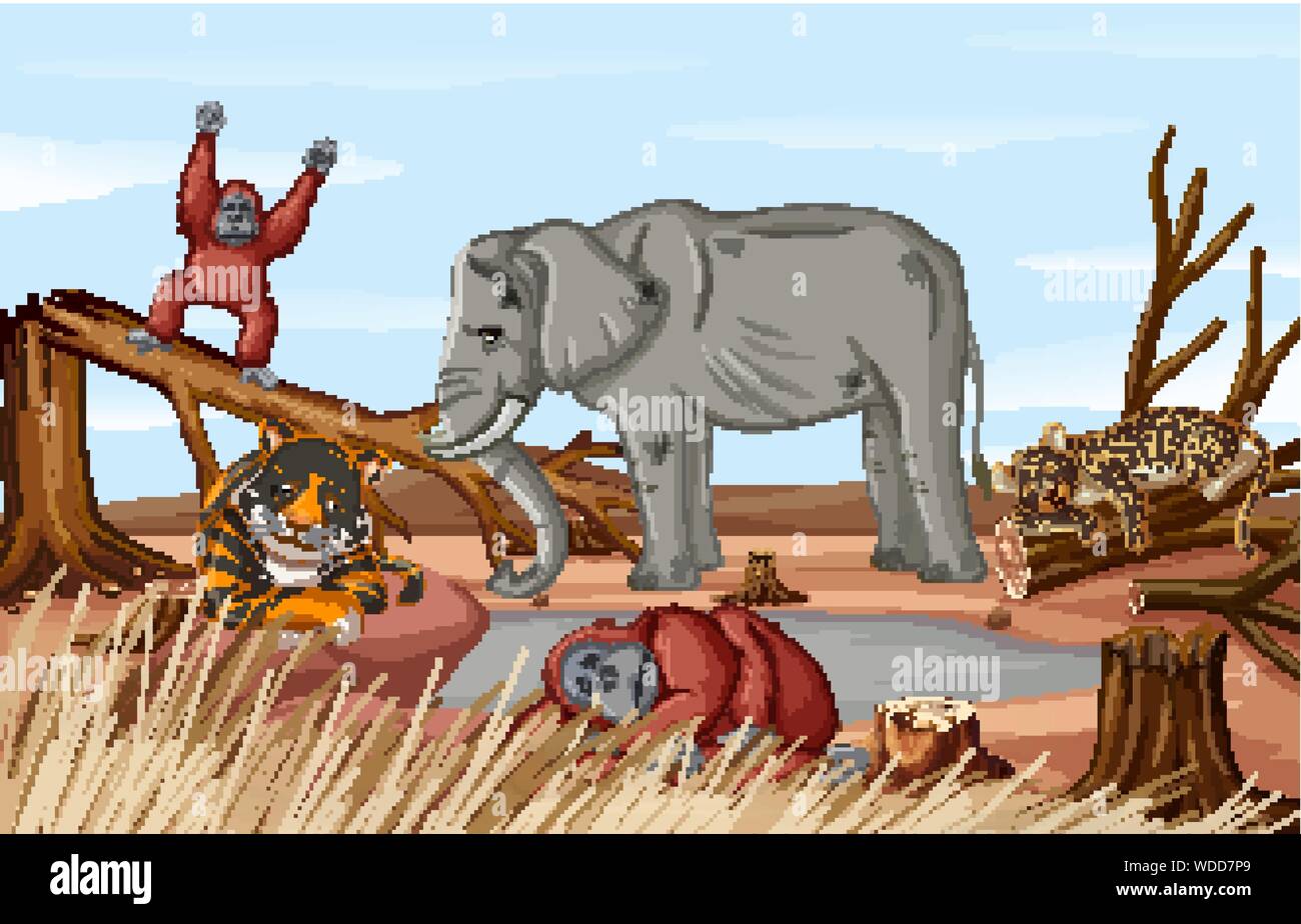 Deforestation scene with dying animals in drought illustration Stock ...