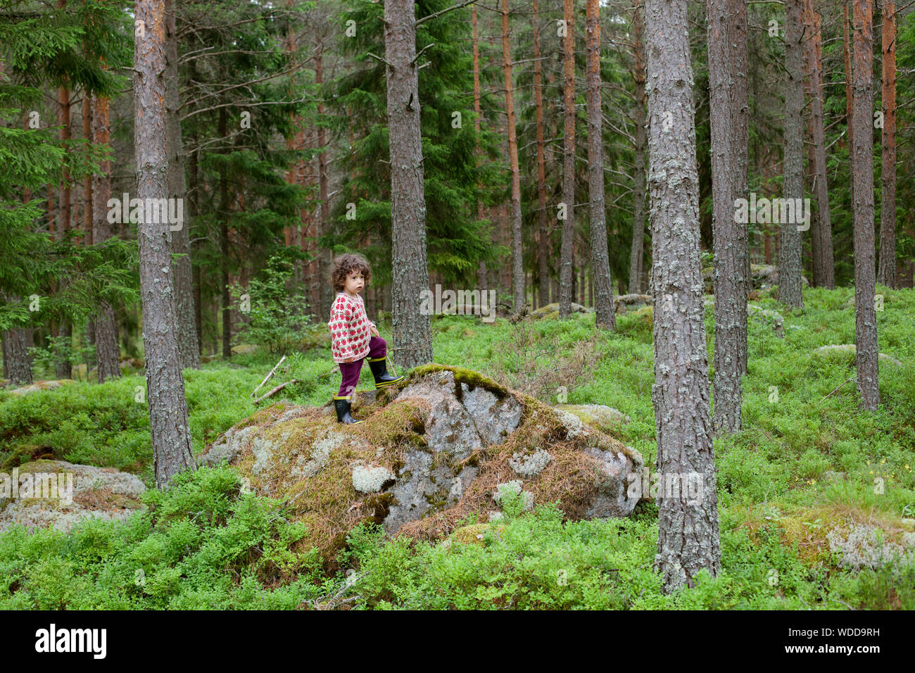 Boy standing in forest hi-res stock photography and images - Alamy
