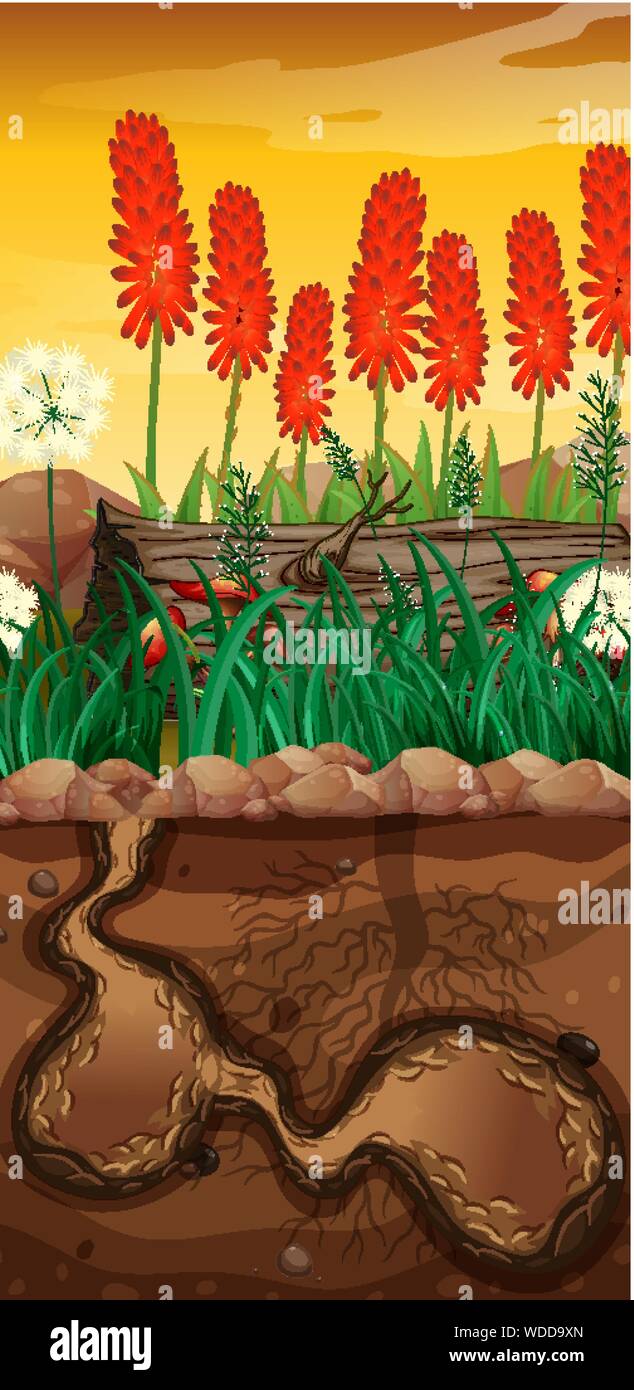 Nature scene with underground hole and flower garden illustration Stock ...