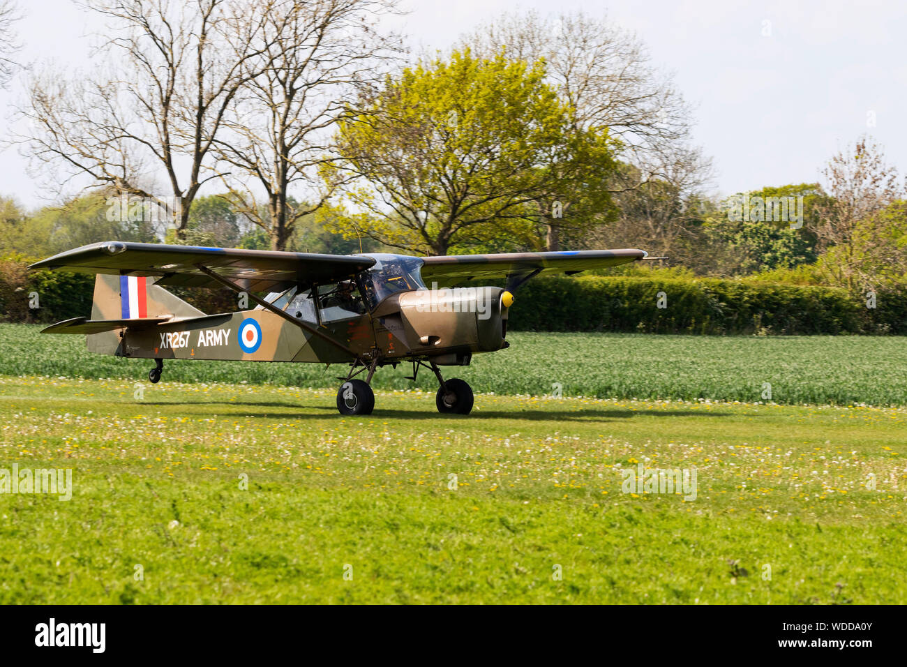 Army air corps auster aop9 hi-res stock photography and images - Alamy