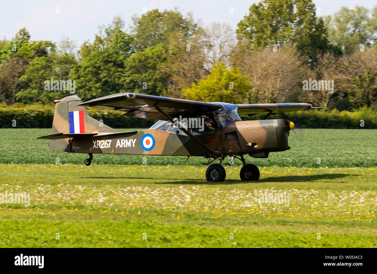Auster aop9 hi-res stock photography and images - Alamy