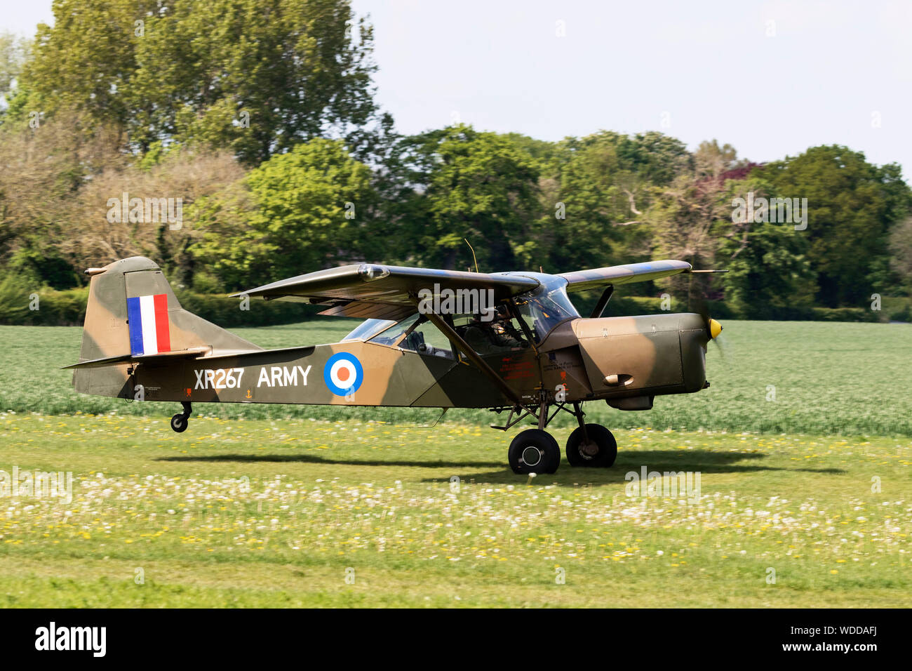 Auster aop9 hi-res stock photography and images - Alamy