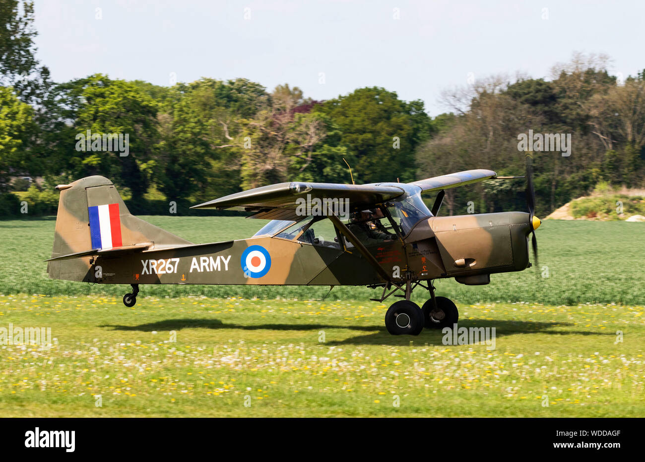 Auster aop9 hi-res stock photography and images - Alamy