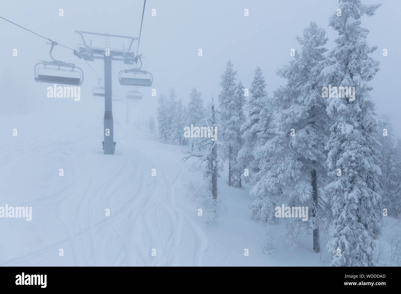 Ski lift by snow covered trees Stock Photo - Alamy