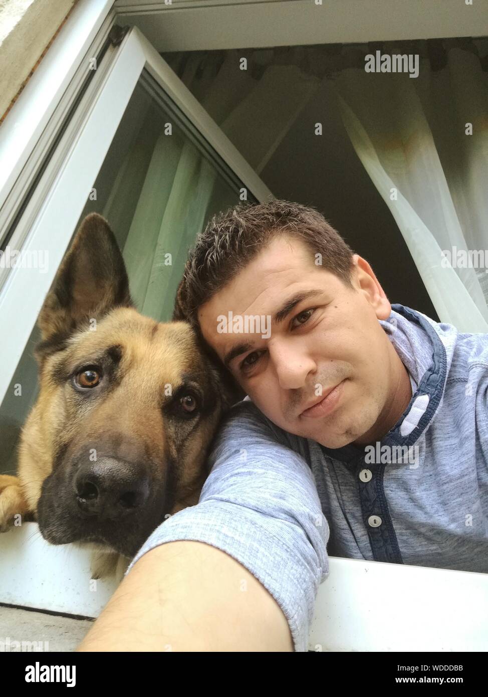 Man German Shepherd High Resolution Stock Photography and Images - Alamy