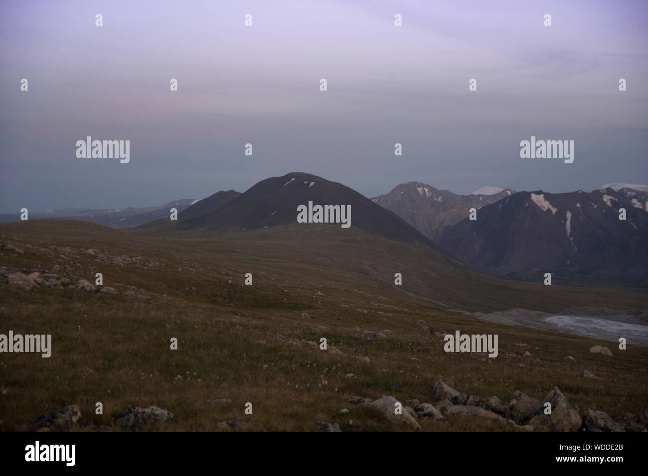 Potanin hi-res stock photography and images - Alamy