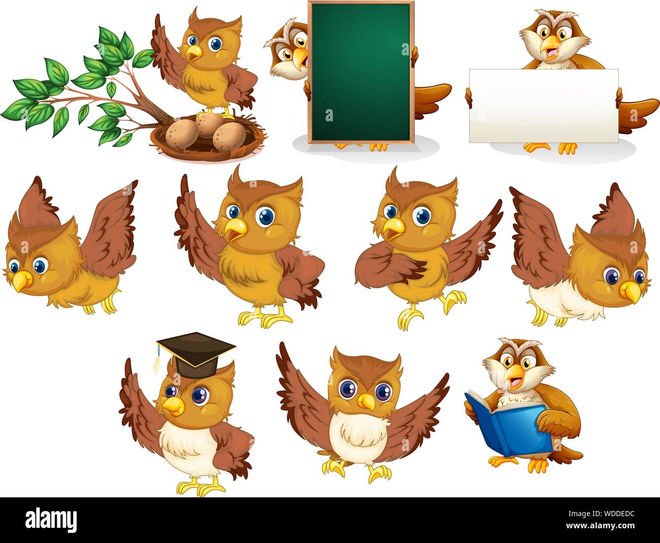Brown owl in different poses on white background illustration Stock ...