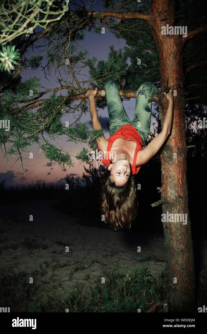 Hanging branch hi-res stock photography and images - Alamy