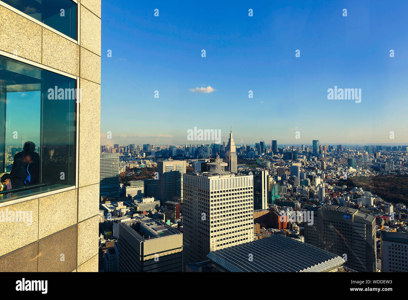 View of the Japanese capital city and close skyscrapers as seen from ...