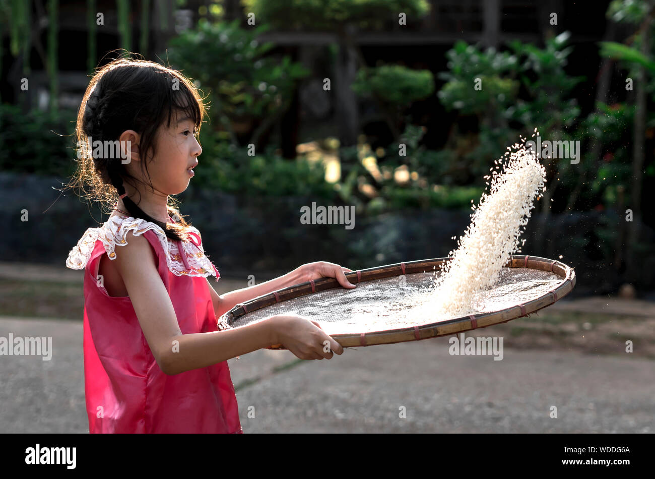 Cleaning rice hi-res stock photography and images - Alamy