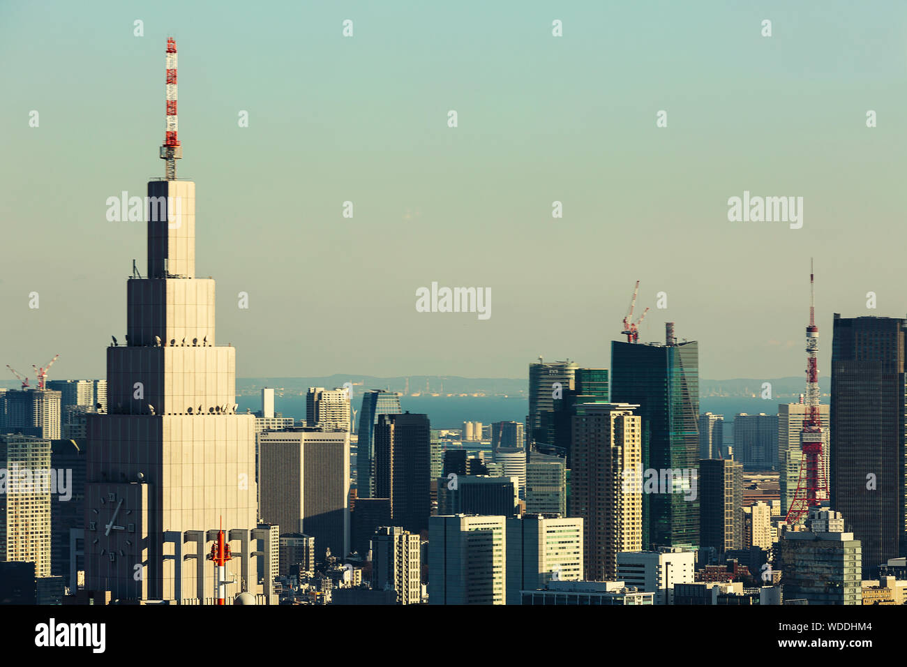 A view of NTT Docomo Yoyogi building and close skyscrapers as seen from ...