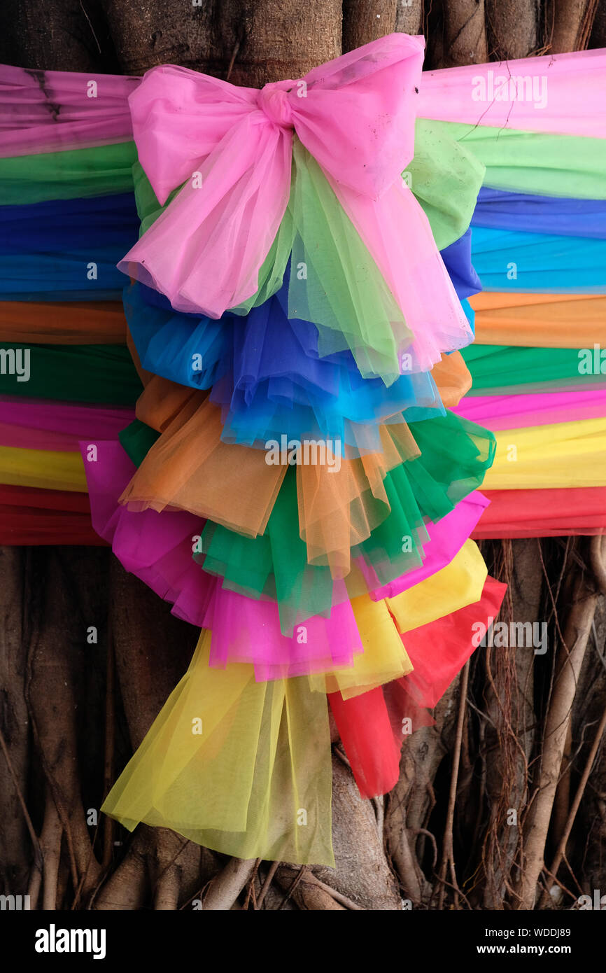 The holy tree hi-res stock photography and images - Alamy