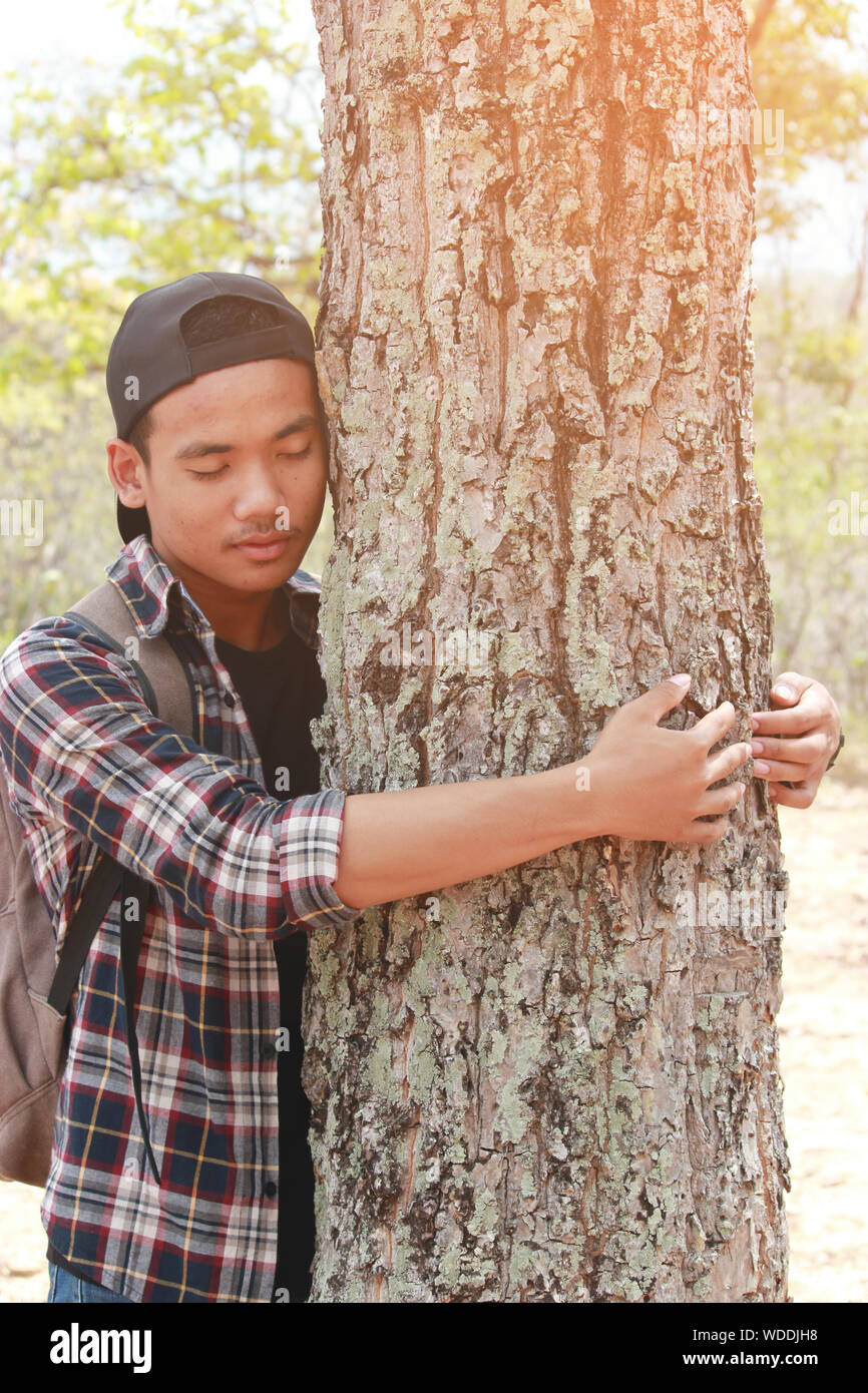 Hugging tree forest hi-res stock photography and images - Alamy