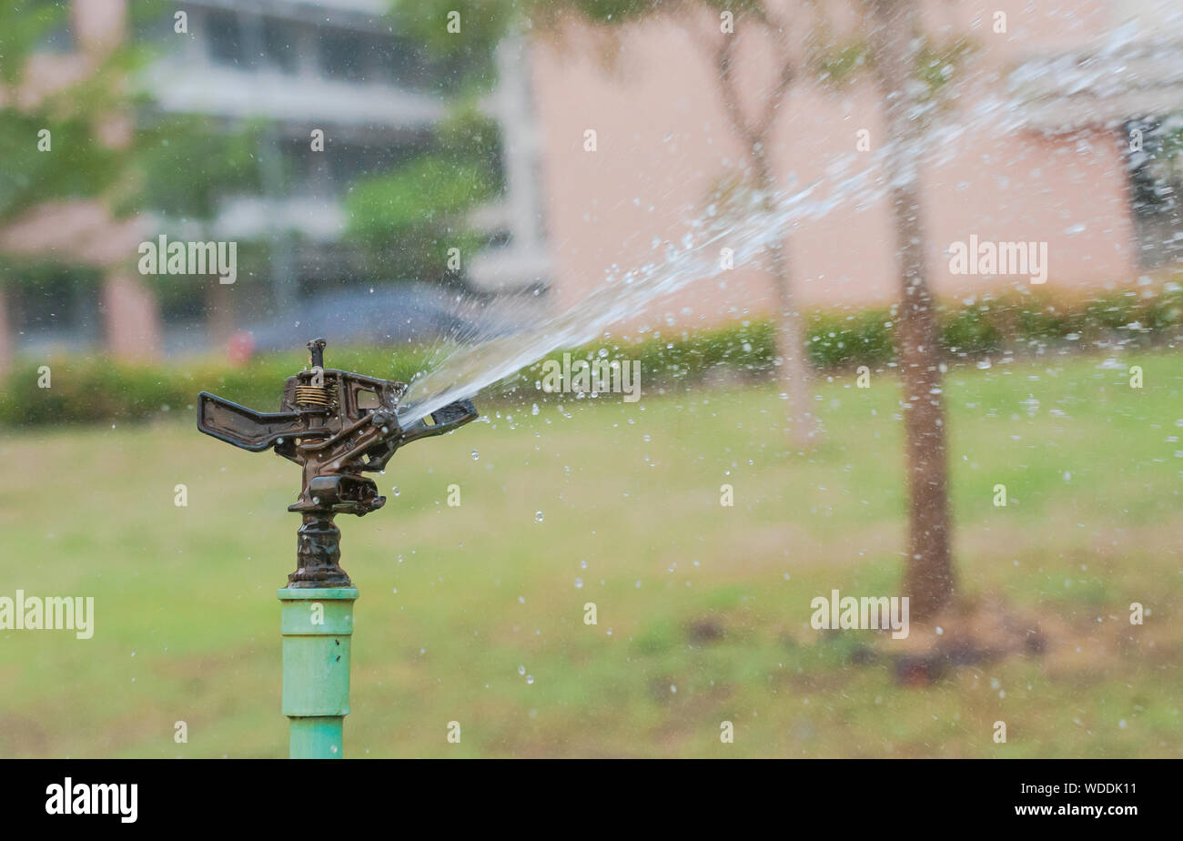 Spraying plant garden hi-res stock photography and images - Alamy