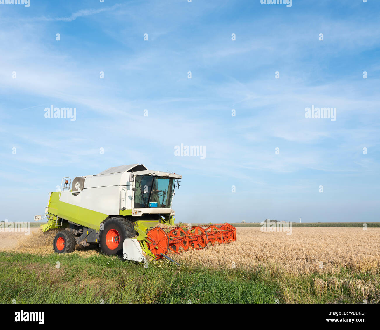 Barley straw threshing hi-res stock photography and images - Alamy