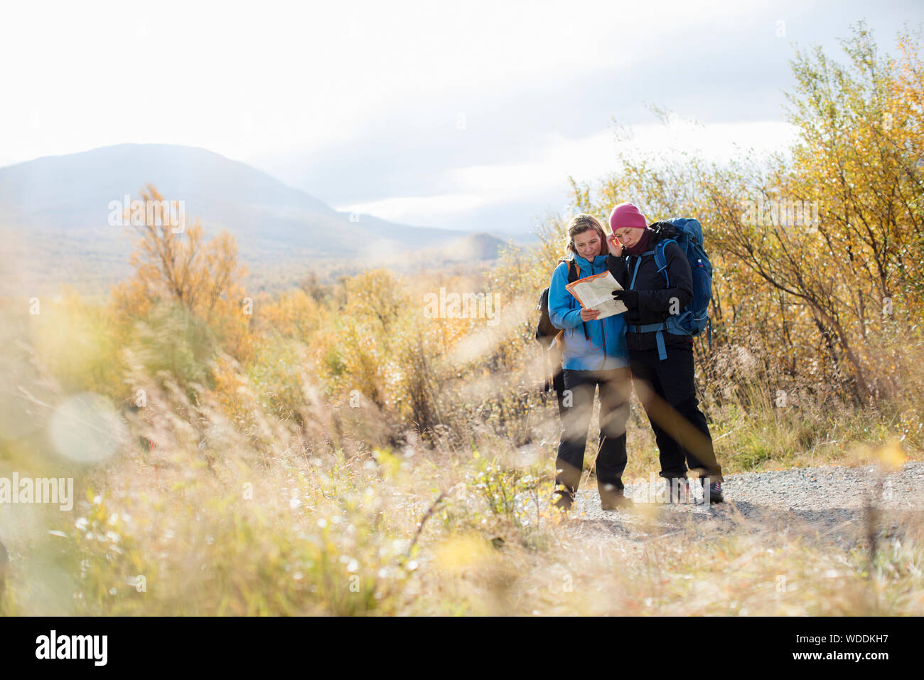 Women reading map Stock Photo - Alamy