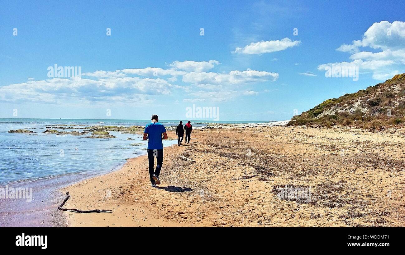 Snake on beach hi-res stock photography and images - Alamy