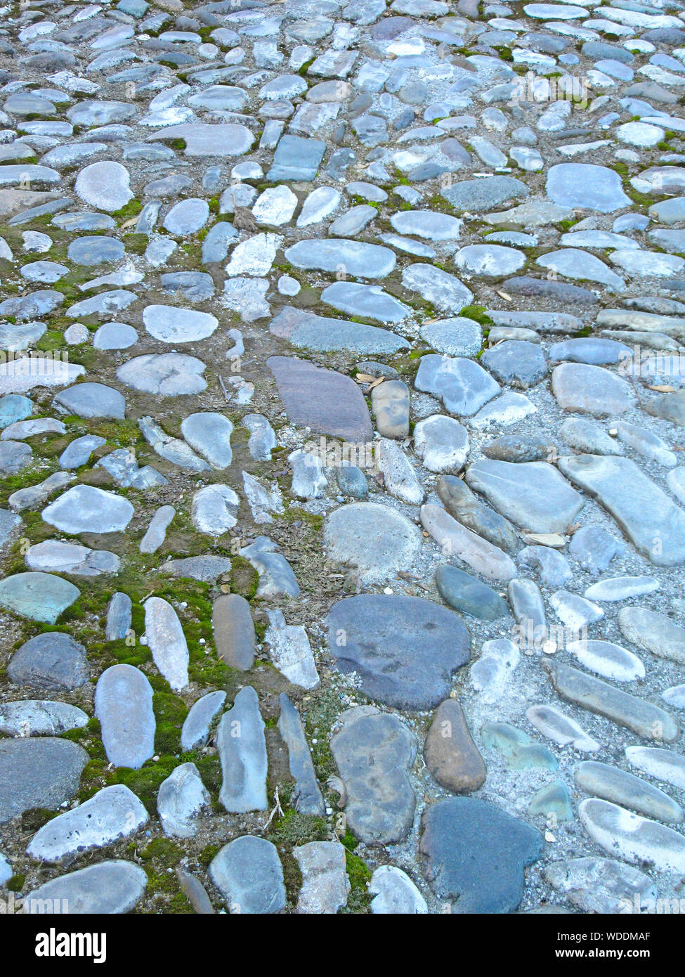 Paved pathway hi-res stock photography and images - Alamy