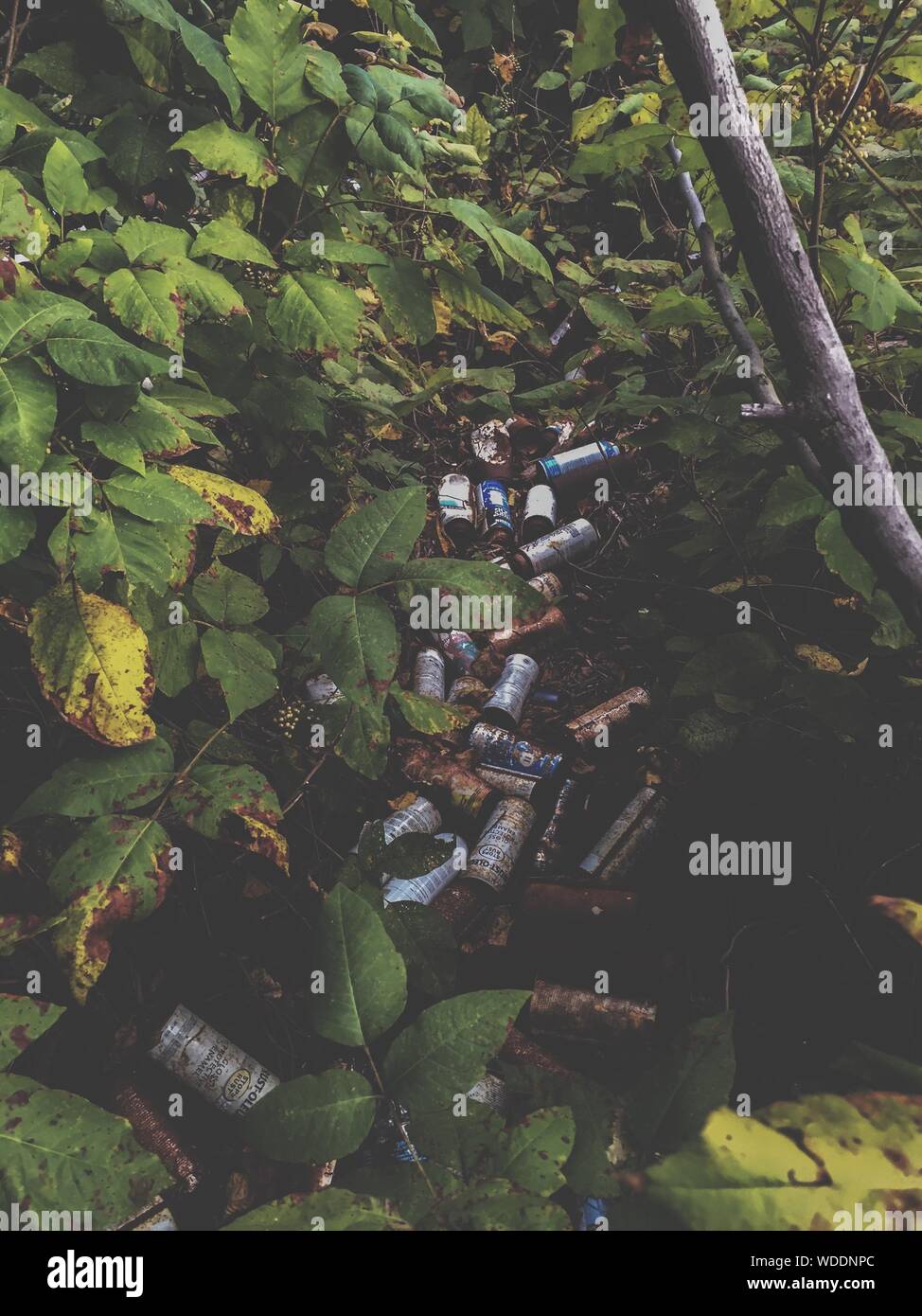 Garbage forest hi-res stock photography and images - Alamy