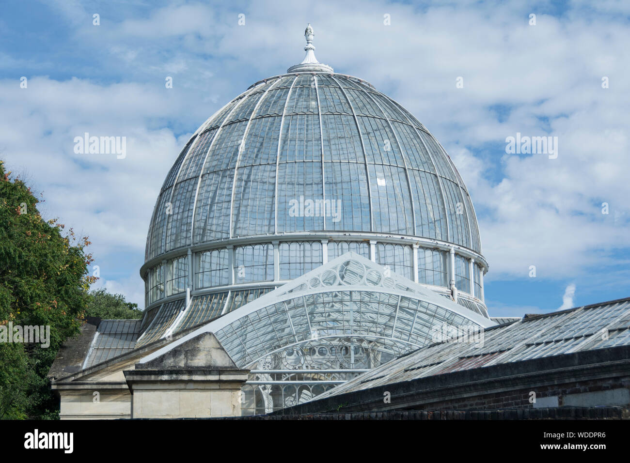Greenhouse at Syon Park Garden Centre in Isleworth, Middlesex, UK Stock ...