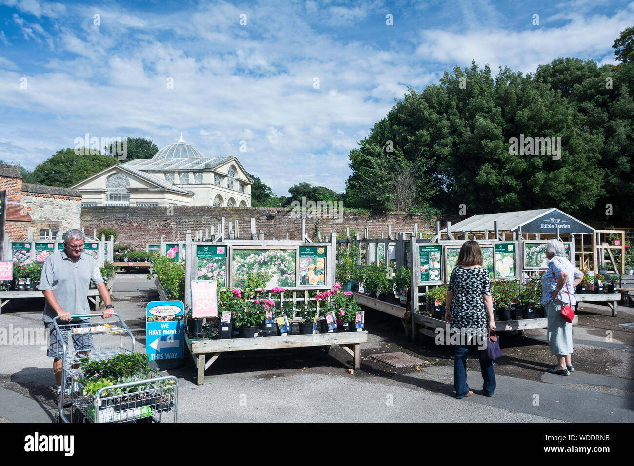 Syon Park Garden Centre in Isleworth, Middlesex, UK Stock Photo - Alamy