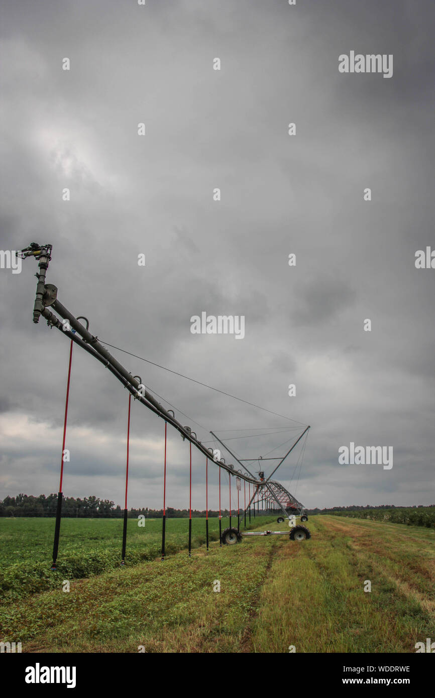 Crane against storm clouds hi-res stock photography and images - Alamy