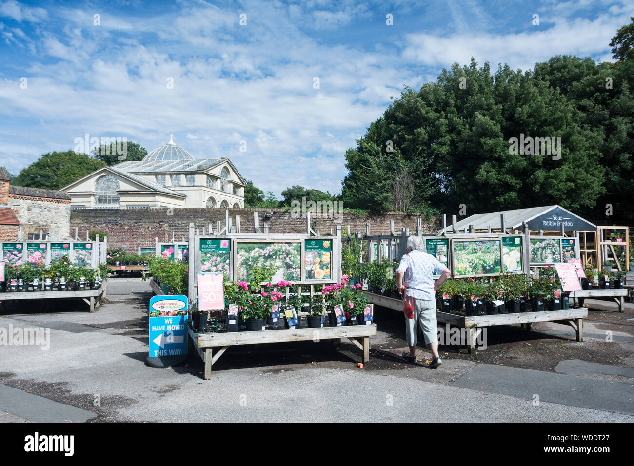 Syon park garden centre hi-res stock photography and images - Alamy