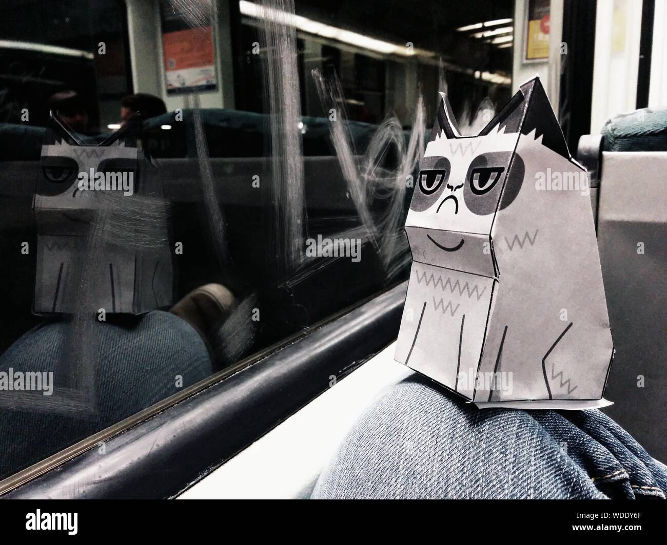 Cat bus hi-res stock photography and images - Alamy