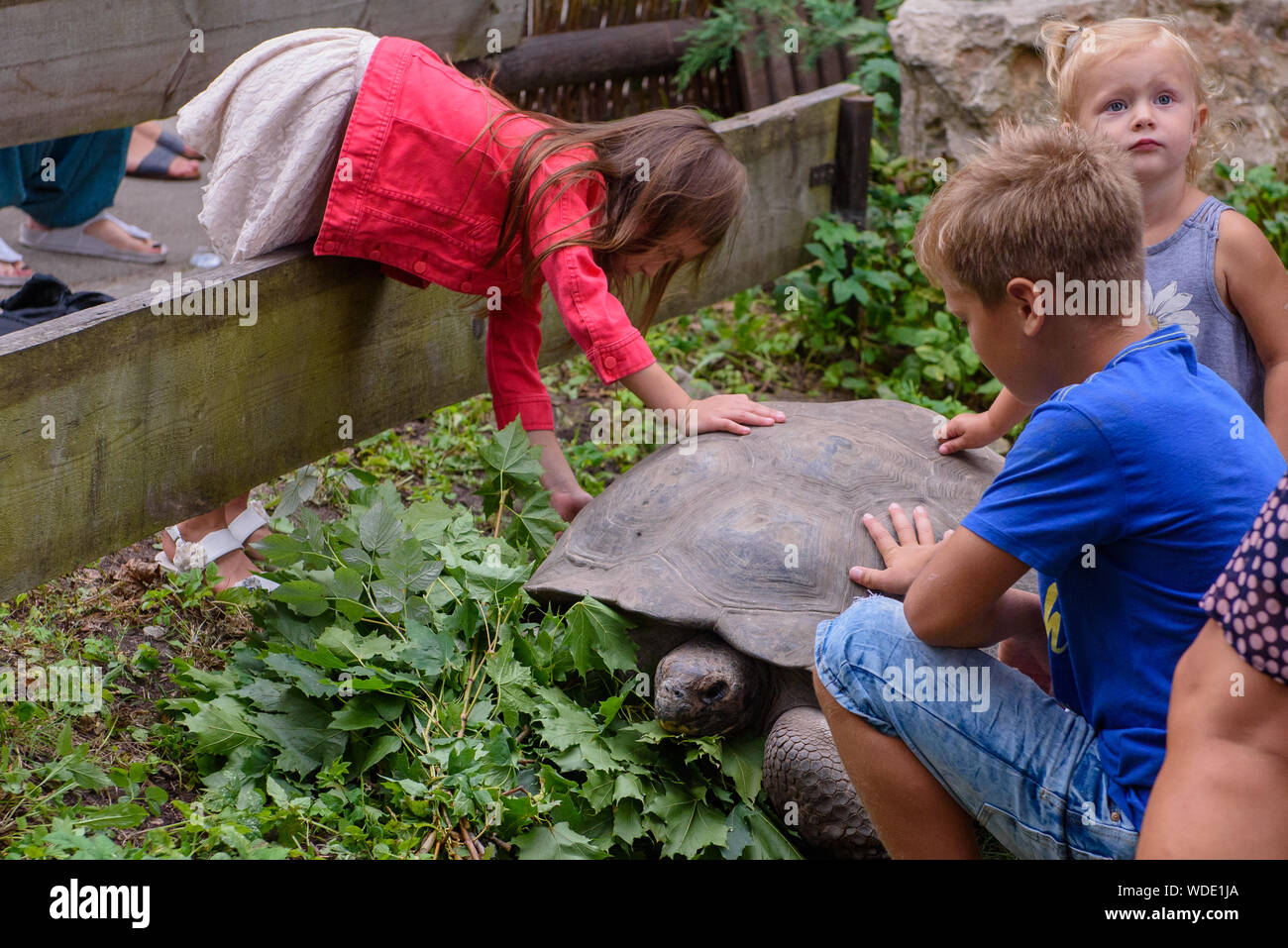 RIGA, Latvia. 29th Aug, 2019. Children touching tortoise, after 19th ...