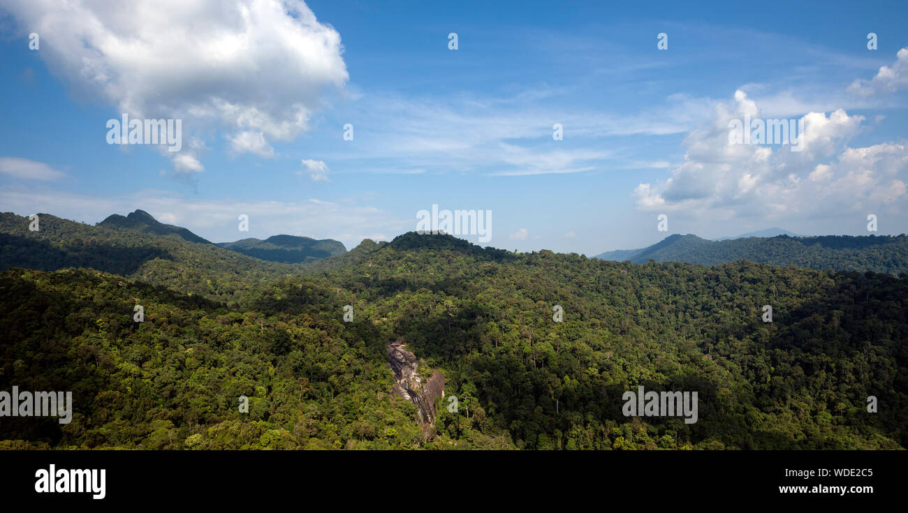 Rainforest Machincang mountain of Langkawi Island, Malaysia - The ...