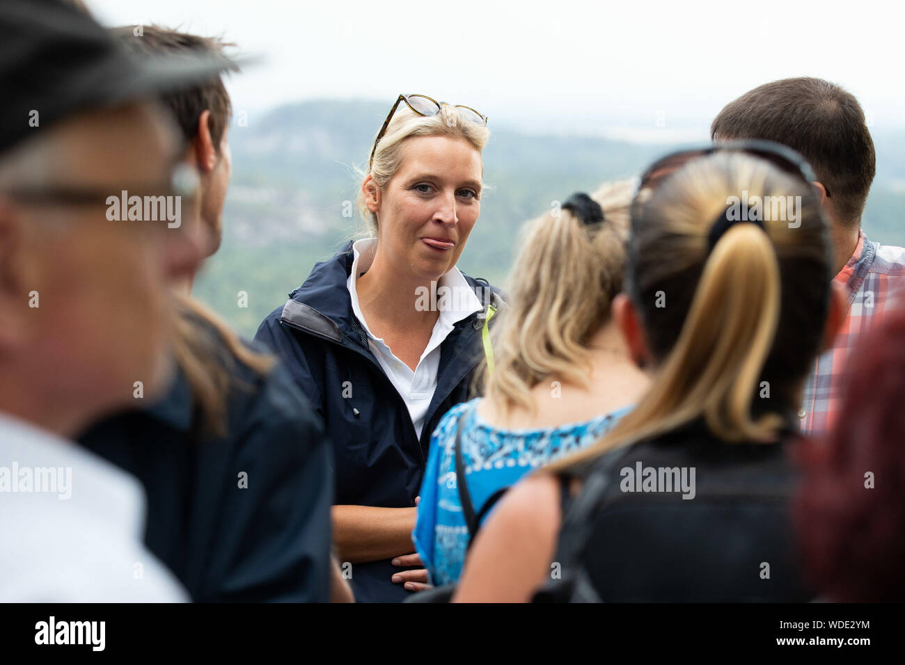 Alice weidel 2019 hi-res stock photography and images - Alamy