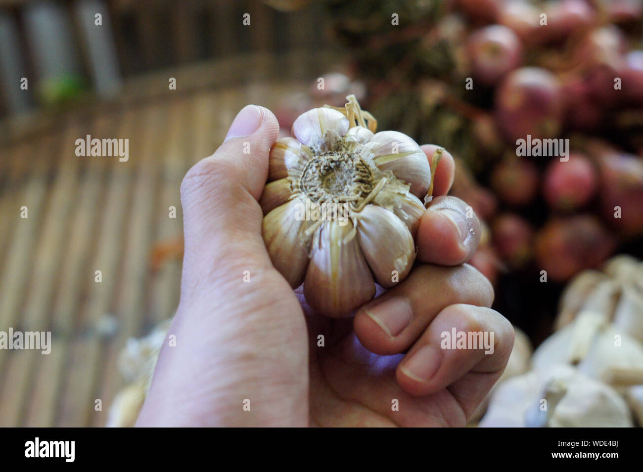 One clove of garlic hi-res stock photography and images - Alamy