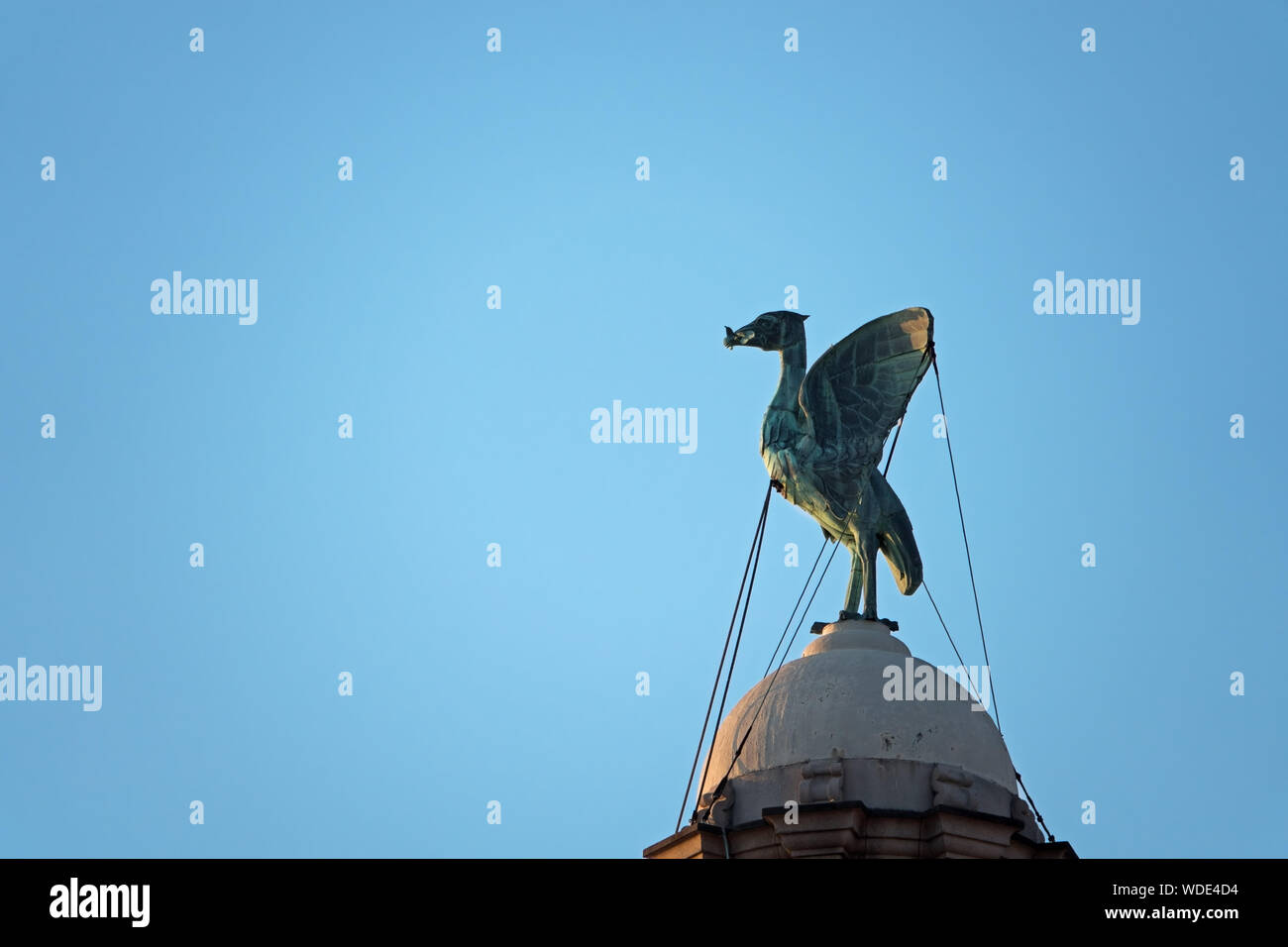 The famous liver bird on top of building hi-res stock photography and ...
