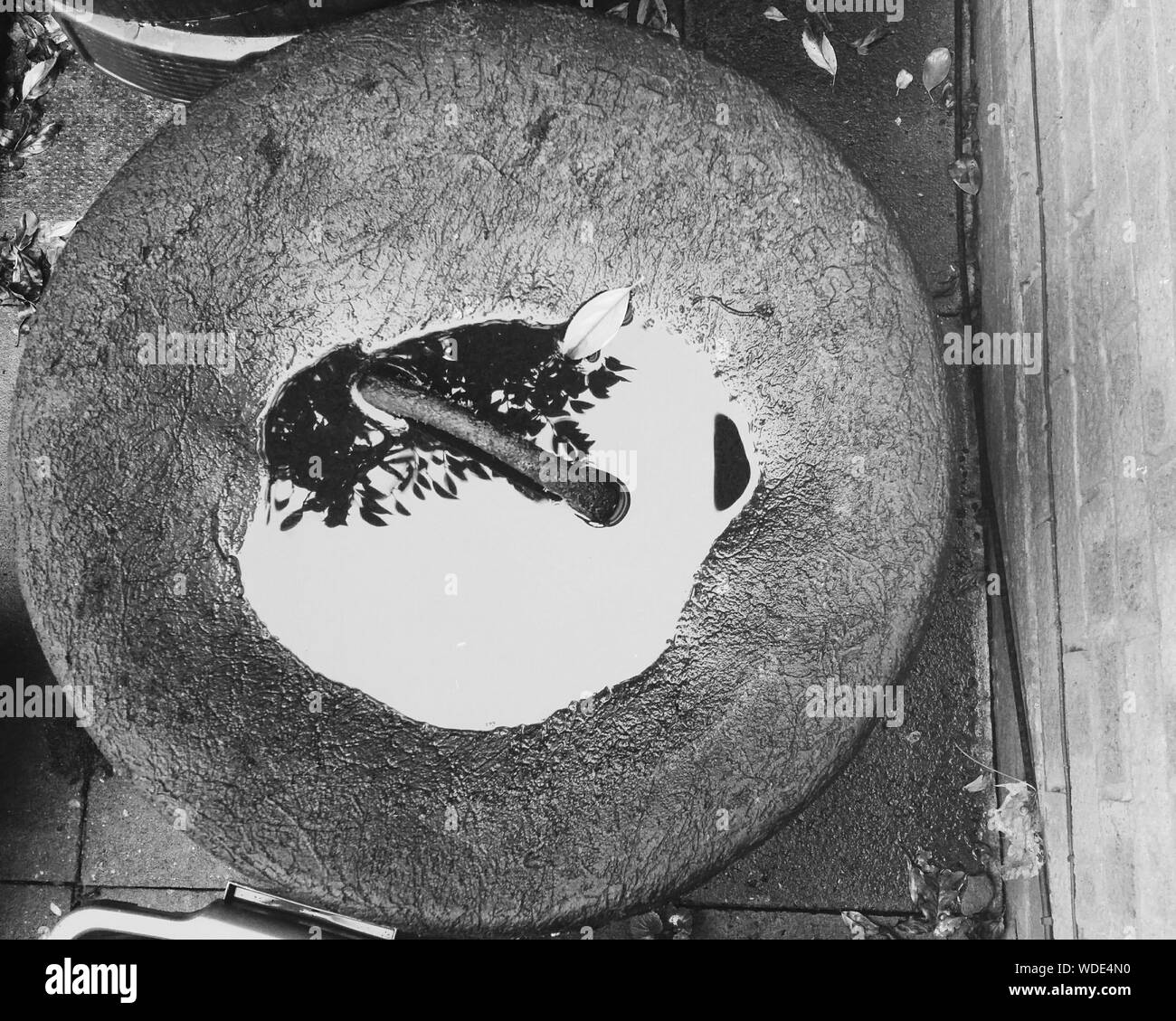 Wet Garbage High Resolution Stock Photography and Images - Alamy