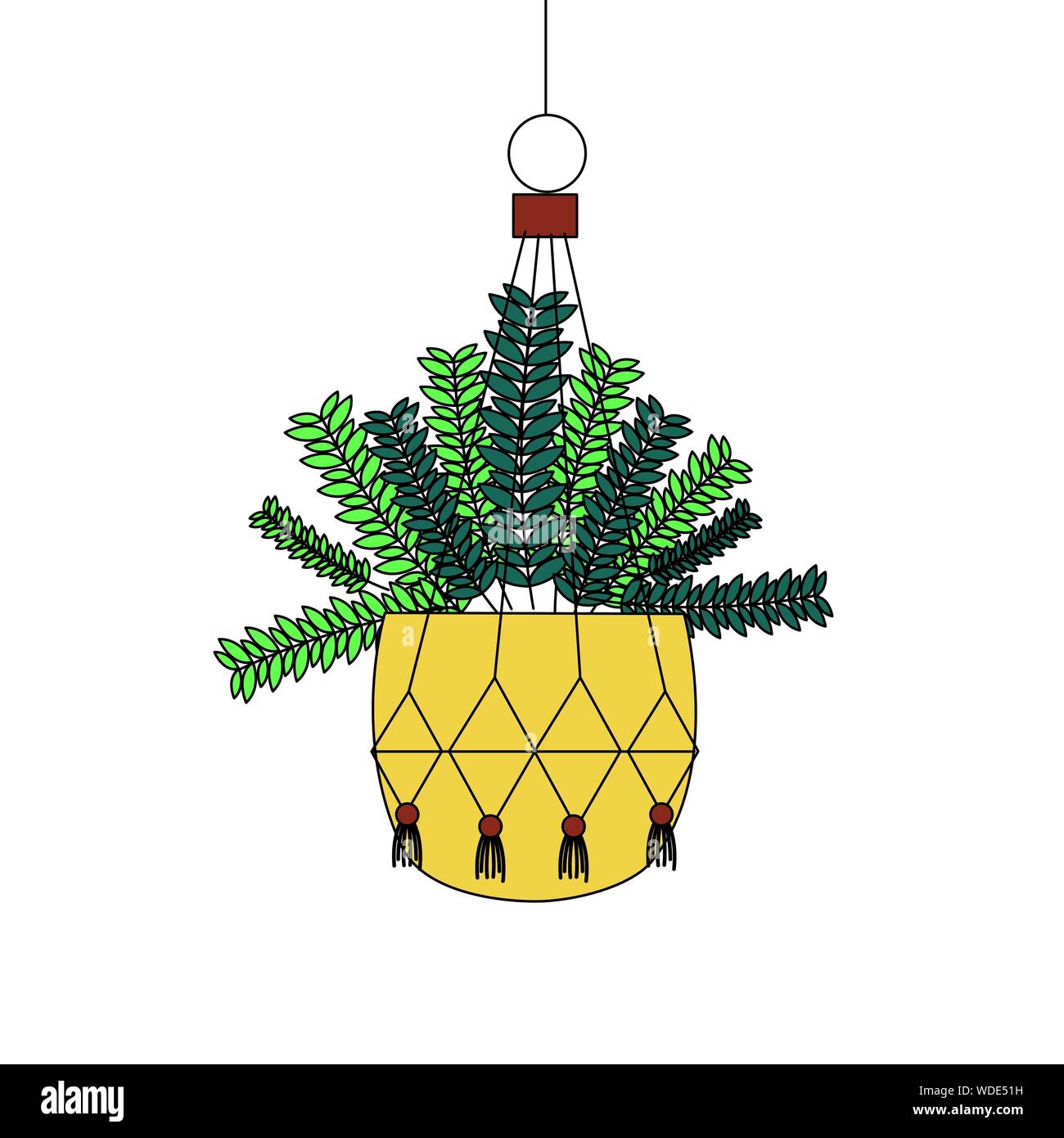 Hanging plant inside pot vector design Stock Vector Image & Art - Alamy
