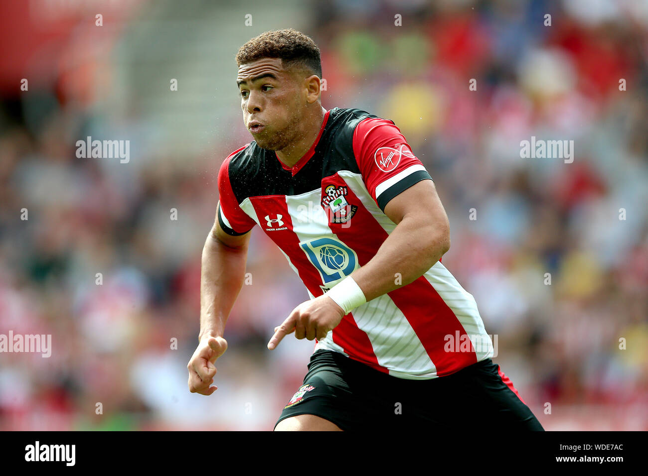 Che Adams, Southampton Stock Photo - Alamy