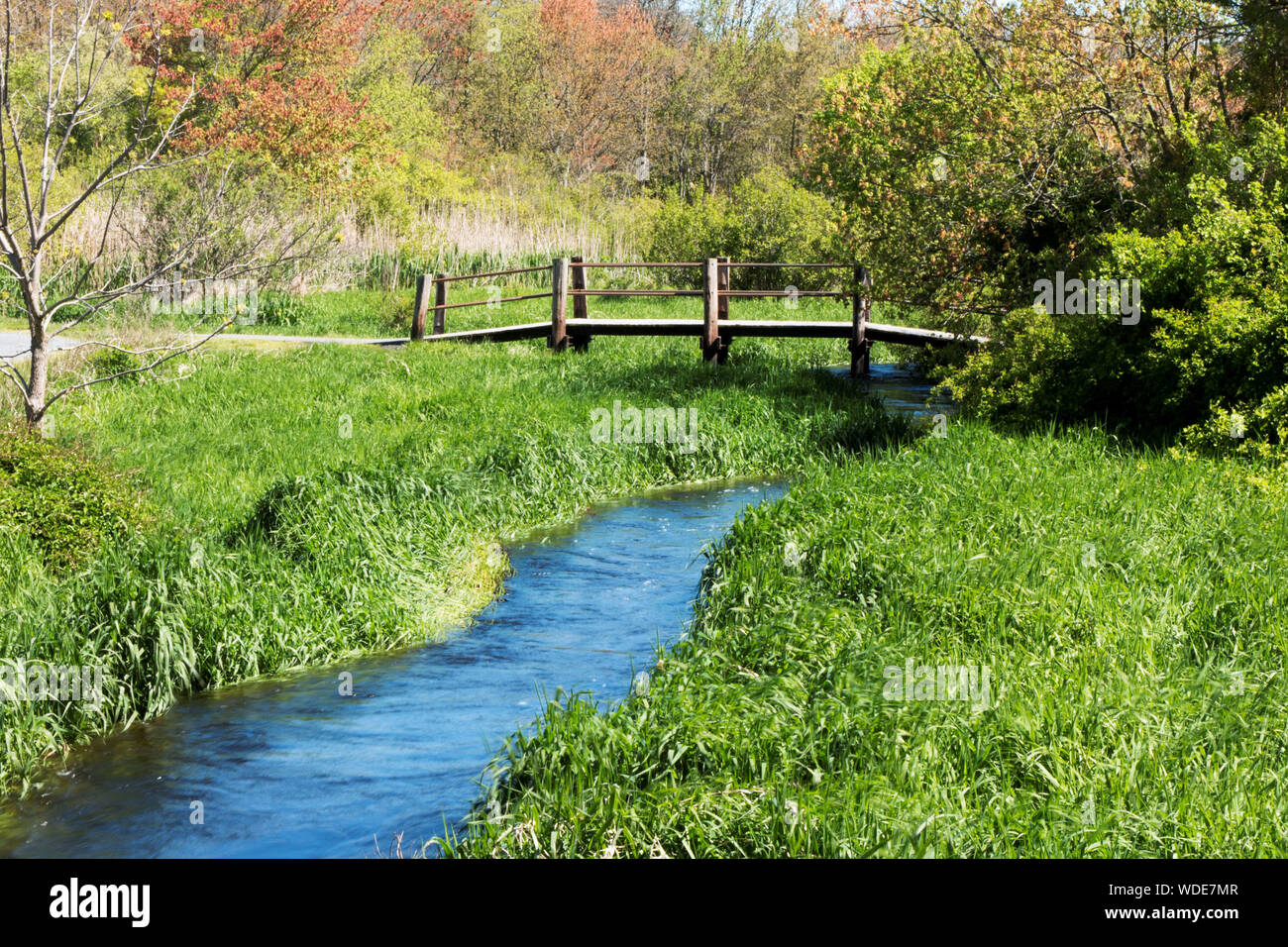 Stream under bridge hi-res stock photography and images - Alamy